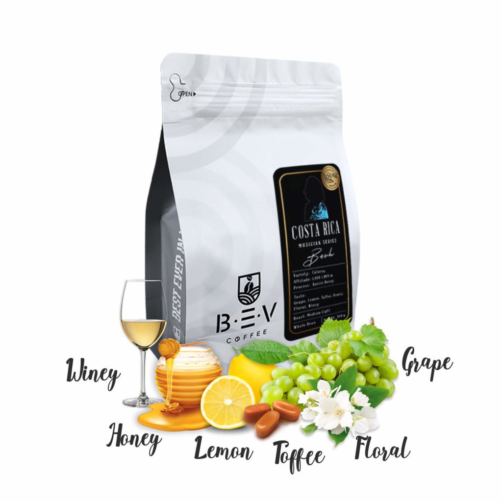 Costa Rica Musician Series Bach | BEV COFFEE