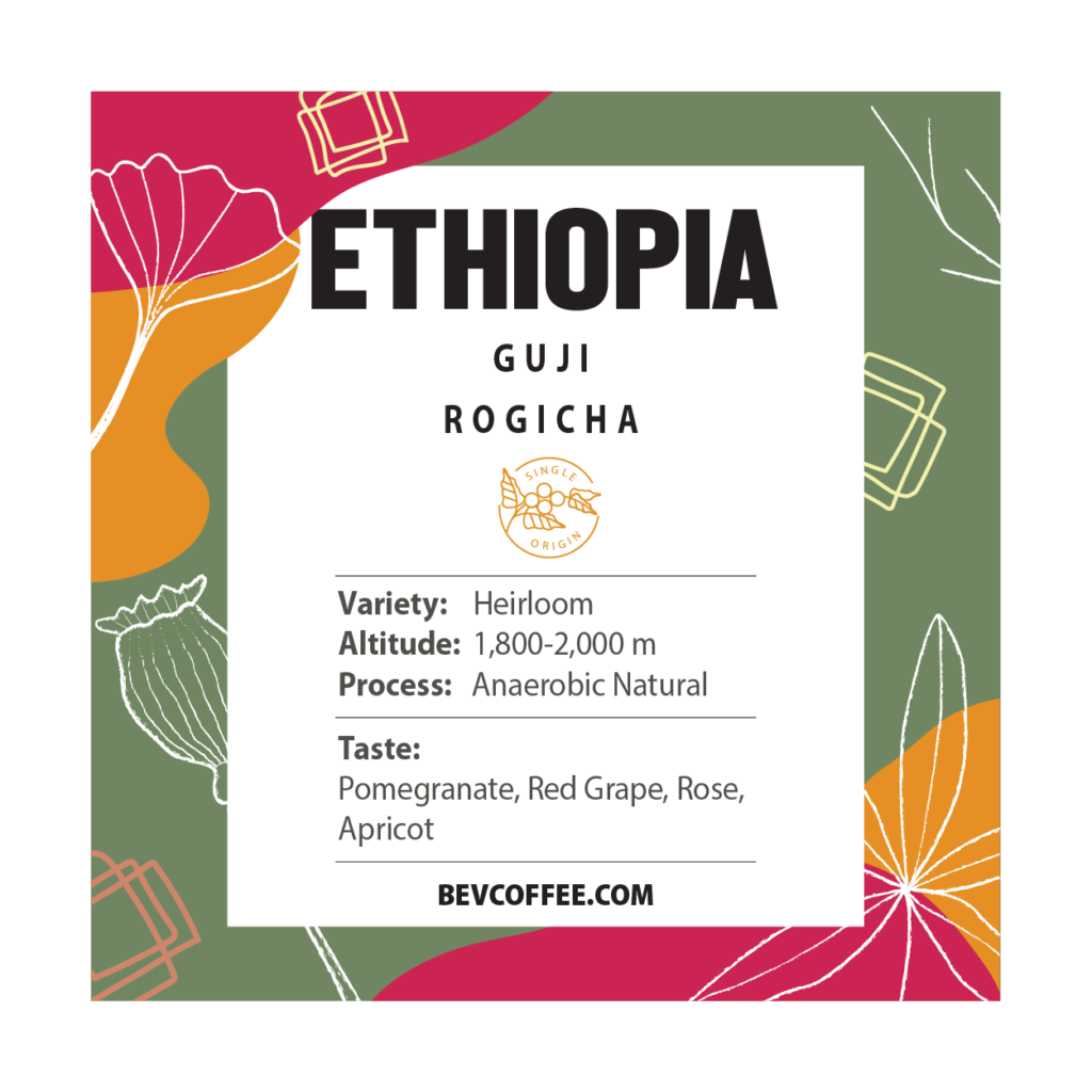 Bevcoffee | the best online store for Single Origin and Specialty coffee