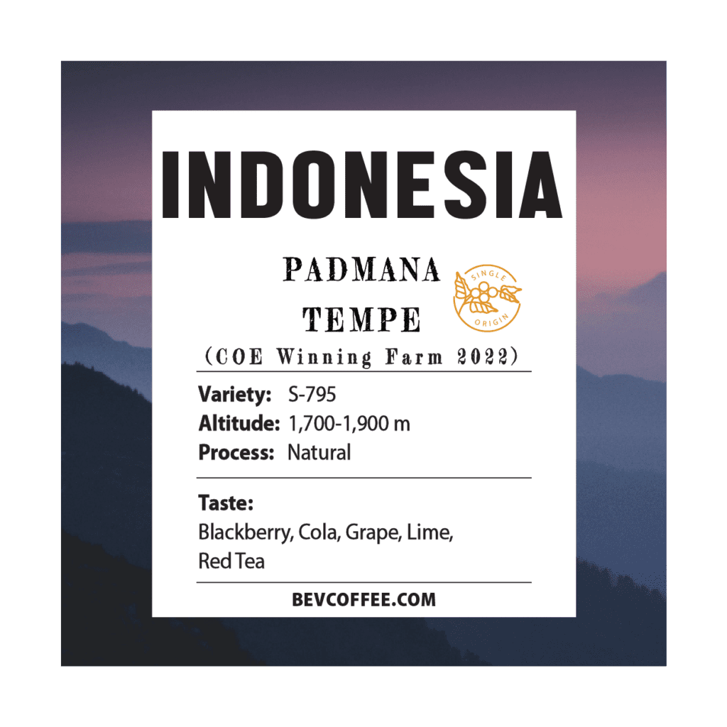 Bevcoffee | the best online store for Single Origin and Specialty coffee